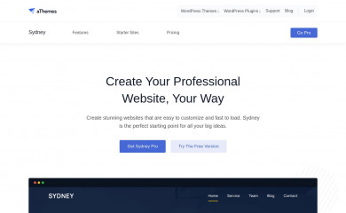 WordPress Theme Detection - ThemeDetect.com