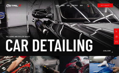 DetailX Child Theme WordPress Theme - ThemeDetect.com