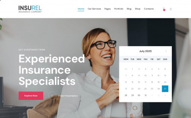 InsuRel Child WordPress Theme - ThemeDetect.com