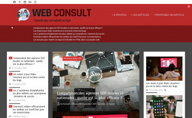 WebConsult S.A WordPress Theme - ThemeDetect.com
